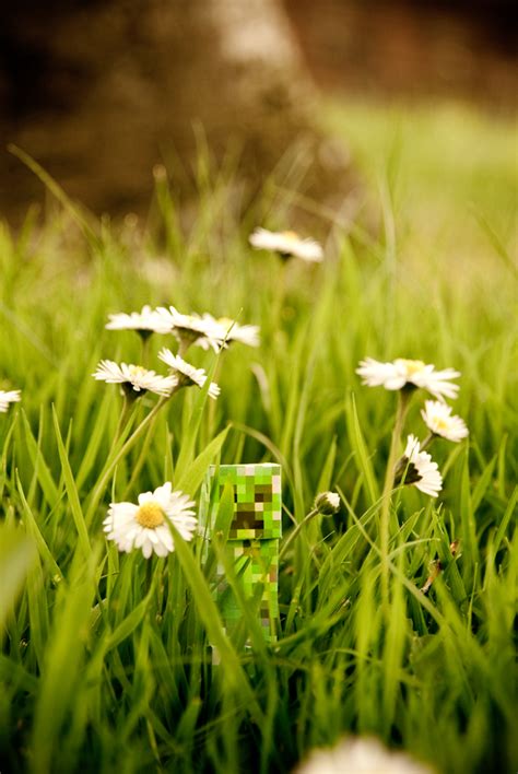 Revealing Photography Minecraft Creeper Edition ~ A Bit Of Geek