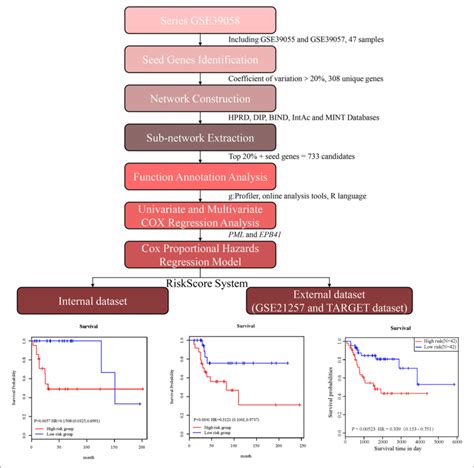 schematic diagram for a multi step strategy to identify 2 gene download scientific diagram