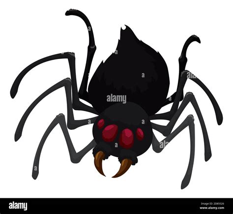 Arthropod Abdomen Stock Vector Images Alamy