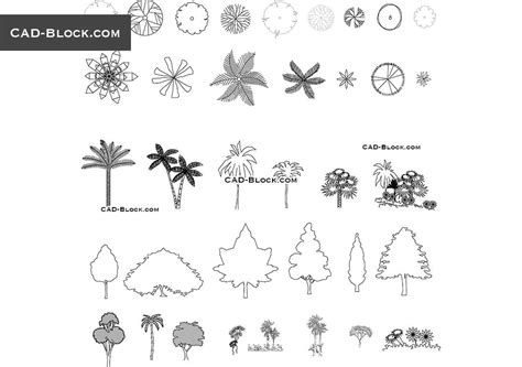 Garden Plants Dwg G4rden Plant