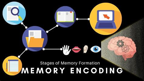 Memory Encoding Types Of Memory Encoding And Factors Negatively