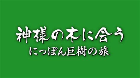 神様の木に会うにっぽん巨樹の旅 NHK