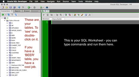 Oracle SQL Developer 101 The Very Basics