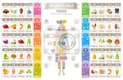 Balance diät infografik diagramm poster wasser protein lipid
