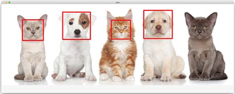 读取图像（将彩色图变成灰度图） 【计算机视觉】python opencv 4高级编程与实战 csdn在线视频培训