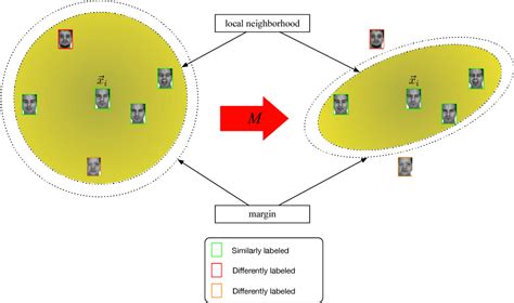 figure 1 from face recognition via weighted sparse representation using metric learning