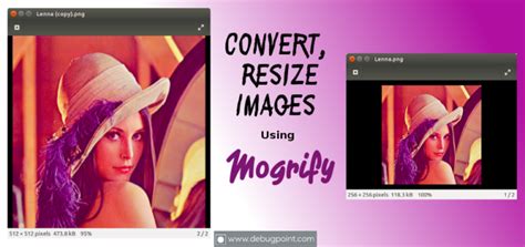 Quickly Resize Convert Images From Terminal Using Mogrify In Ubuntu