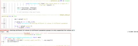 RuntimeError Setting Different Lr Values In Different Parameter Groups