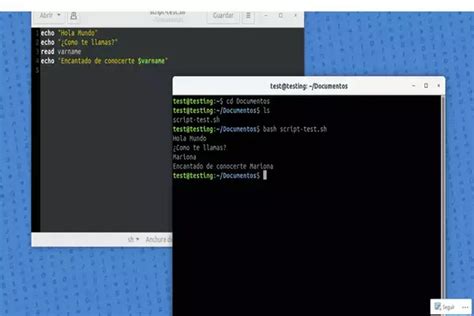 Como Crear Y Ejecutar Tu Primer Script Elyex