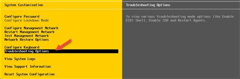 How To Enable SSH On A Virtual Server VMware ESXi DiskInternals