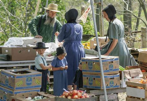 The Amish Live Simply But Dont Confuse Them With Environmentalists