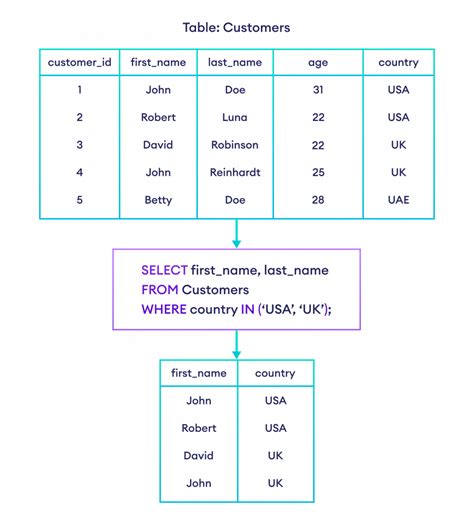 sql in and not in operators with examples