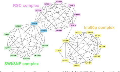 figure 1 from protein complex detection algorithm based on multiple topological characteristics