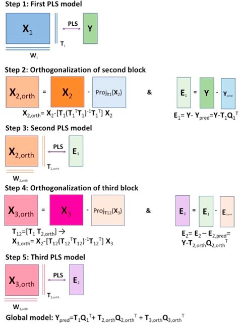 a schema presenting the sequential orthogonalized partial least squares download scientific