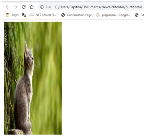 Css Object Fit How Object Fit Property Works In Css With Examples