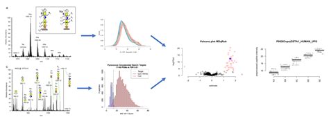 Experimental Design And Data Analysis In Label Free Quantitative LC MS