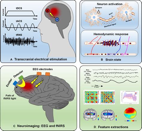 frontiers systemic review on transcranial electrical stimulation parameters and eeg fnirs