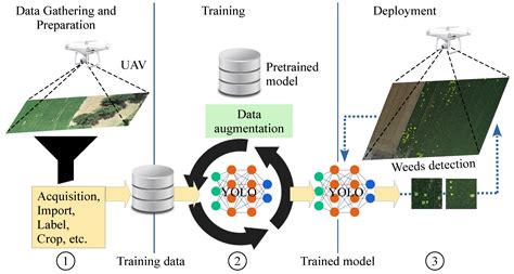 remote sensing free full text deep object detection of crop weeds performance of yolov7 on