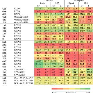 Heatmap Representing Relative Expression Levels FPKM Of Genes