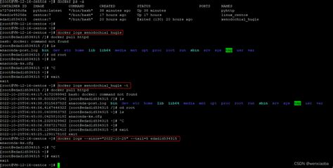 docker入门教程 docker load csdn博客