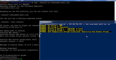 lab of a penetration tester week of powershell shells day 5 dns icmp shells and wrap up