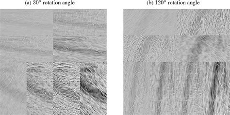 figure 2 from rotation invariant texture classification using directional filter bank and