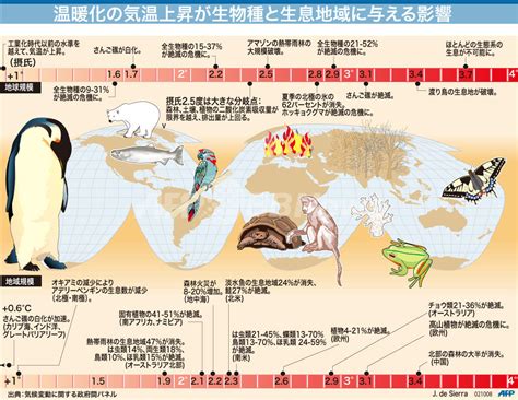 図解温暖化の気温上昇が生物種と生息地域に与える影響 写真1枚 国際ニュースAFPBB News