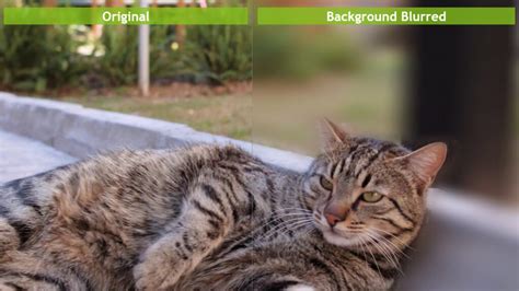 Speeding Up Deep Learning Inference Using TensorRT NVIDIA Technical Blog