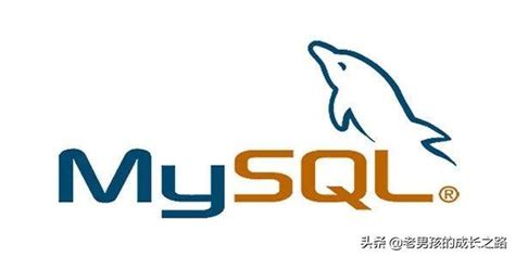 mysql 8从入门到精通 mysql：迄今为止讲解的最详细的一篇，掌握数据库其实很容易 csdn博客
