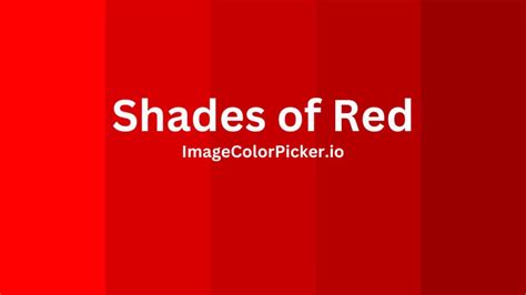 Best Shades Of Red Color Color Guide 2024