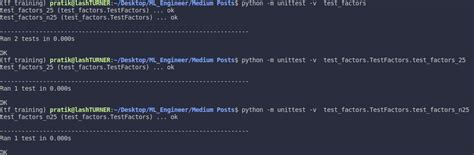 unittest in python