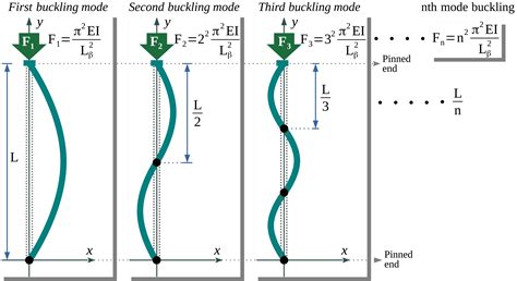 column buckling analysis self weight impact explored