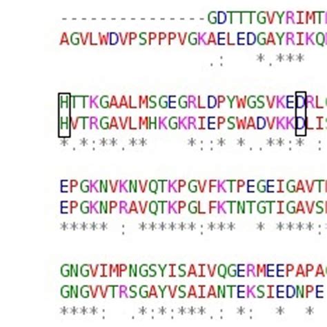 Sequence Alignment Between 2FP7 And 2FOM Using The CLUSTALW Program 39