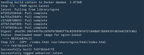 how to use the nginx docker official image docker