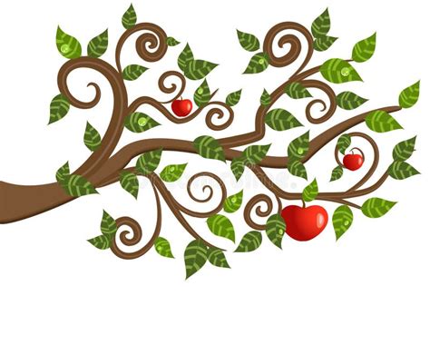 Vector Branch Of Apple Tree Apple Tree Branch Vector Illustration