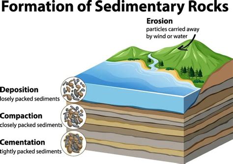 Formation Of Sedimentary Rocks Sedimentary Rocks Sedimentary