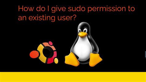 How To Grant Sudo Privileges To An Existing Linux User YouTube