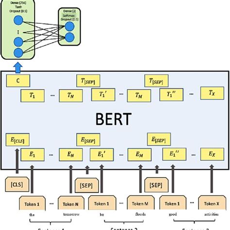 Bert Fine Tuning Model Download Scientific Diagram