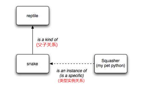 Python中的type和object详解 python type object CSDN博客
