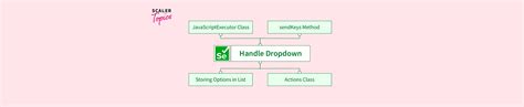 How To Handle Dropdown In Selenium Scaler Topics