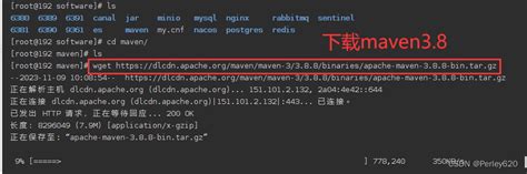 linux安装git和maven——拉取代码 ＞ mvn打包成jar包 ＞运行jar包 linux mvn打包 csdn博客