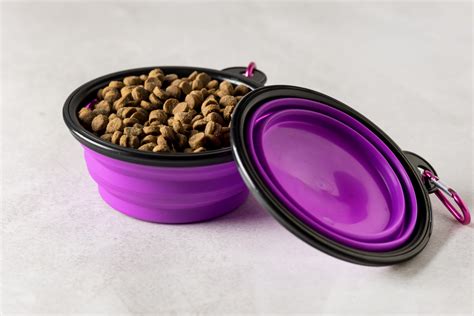 Los Mejores Regalos Para Las Mascotas