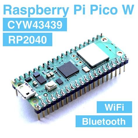 Raspberry Pi Pico W MAVIGO TRADING