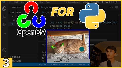 How To Draw Shapes With OpenCV For Python Beginners Tutorial 3 YouTube