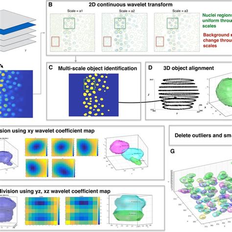 comparison between threshold based segmentation and wavelet based download scientific diagram