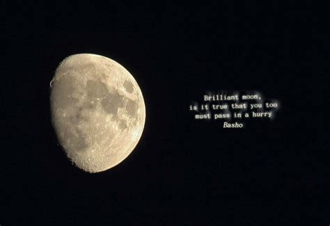 Basho Haiku Haiku Poetry Haiku Poems Poetry Inspiration