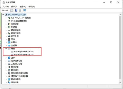 Win10电脑键盘错乱了怎么办 Win10电脑键盘错乱解决方法 纯净之家