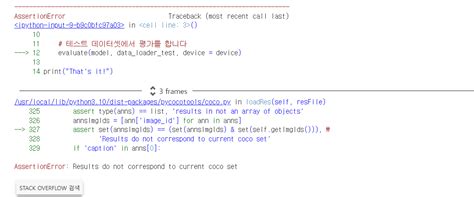 Torchvision Finetuning Issue