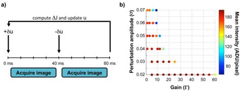 wavefront sensorless control algorithm details a correction timeline download scientific