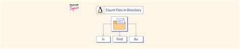 Linux Bash Count Files In Directory Printable Forms Free Online